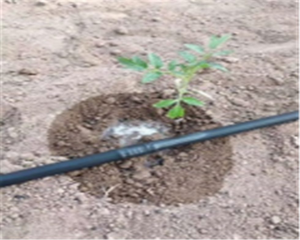 Round Emitter Drip Pipe Manufacturer & Supplier - OrientFlex